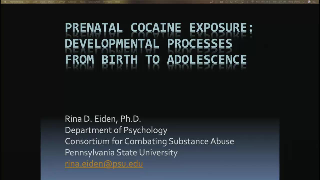 CCF Speaker Series: Rina Das Eiden, Ph.D. 1-31-2020